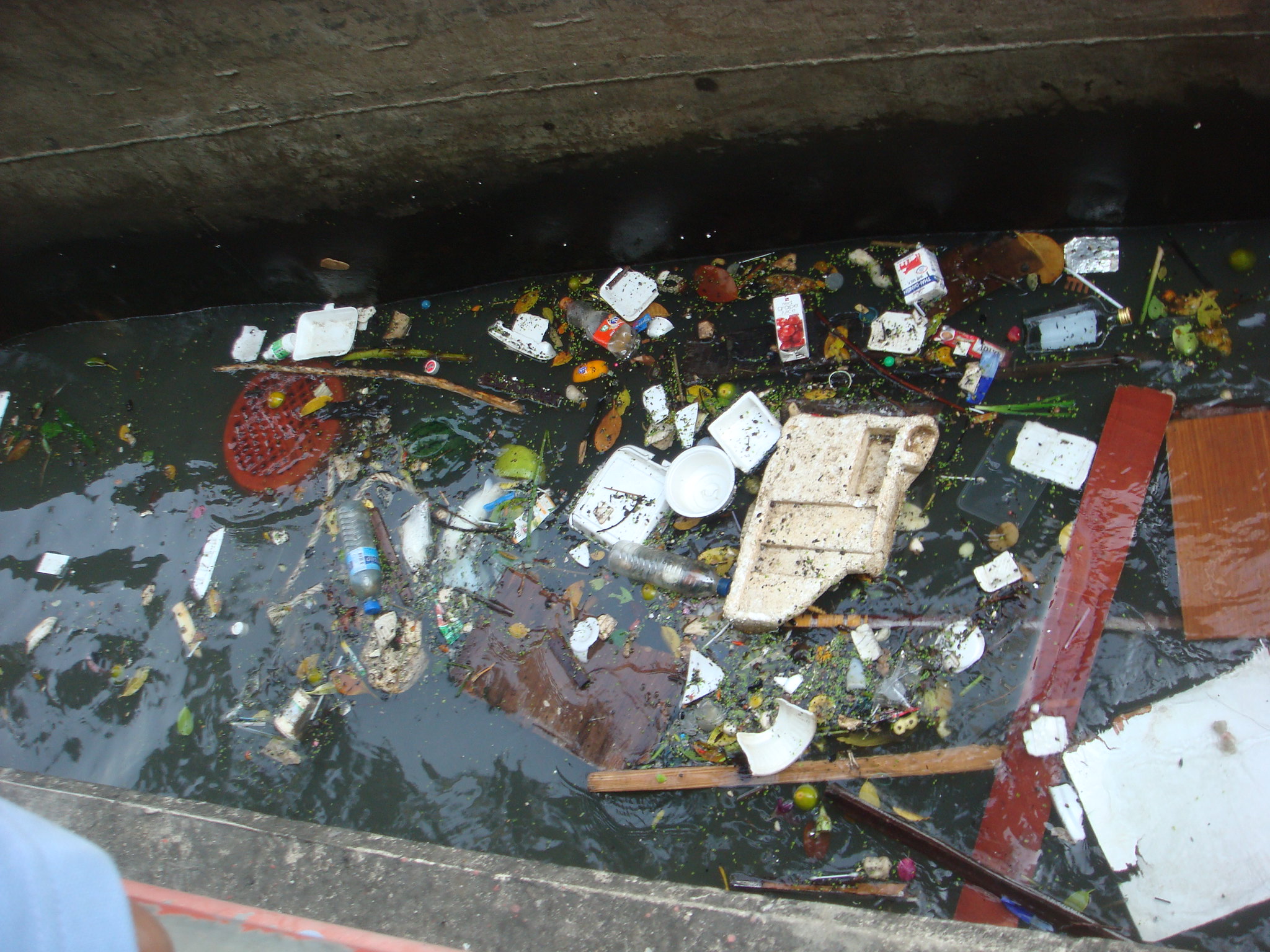 Water Pollution: AP® Environmental Science Crash Course | Albert.io Water Pollution: AP® Environmental Science Crash Course | Albert.io